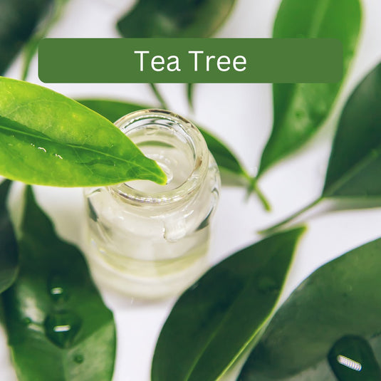 100% Natural Candle Company | Fair Candles