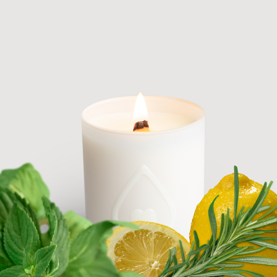 Tea Tree Candle | Fair Candles